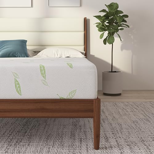 NapQueen Full Size Mattress, 10 Inch Anula Green Tea Infused Memory Foam Mattress, Full Size Mattress Bed in a Box, CertiPUR-US Certified Mattress