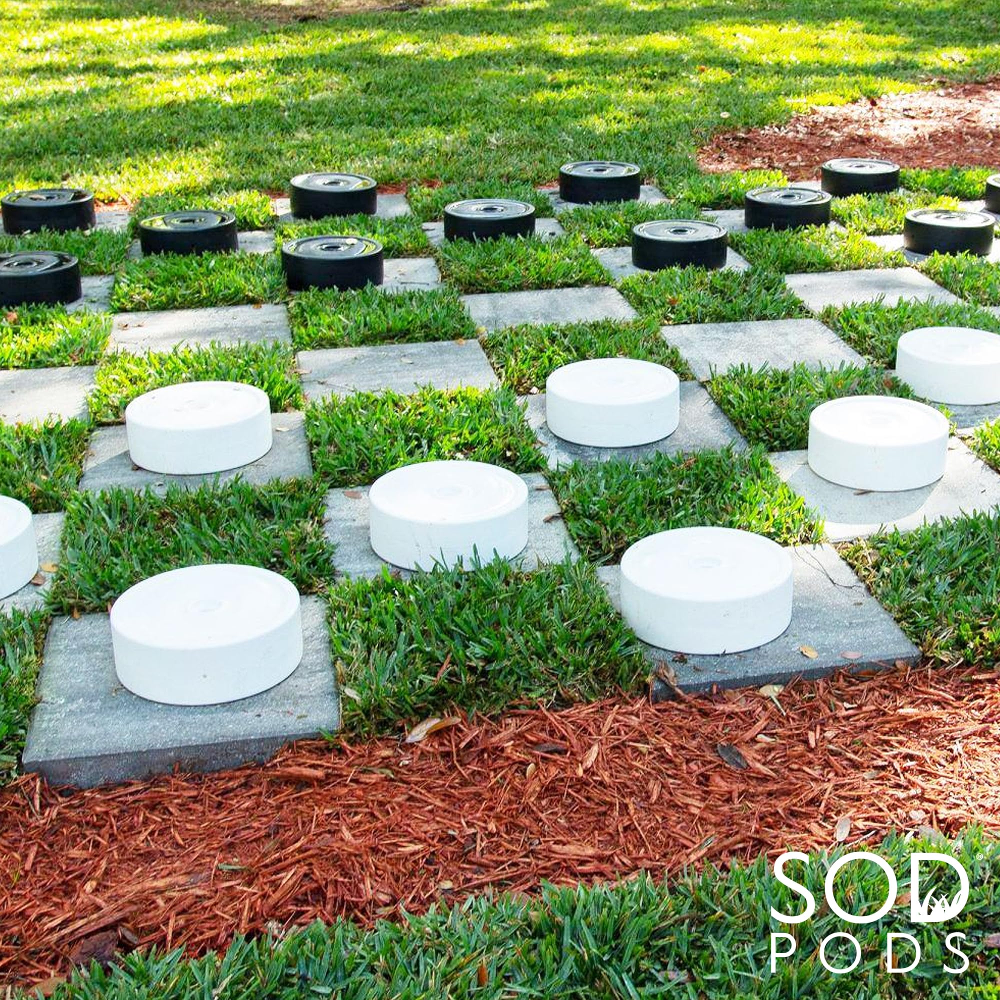 Cannot Ship to California/AZ SodPods® St Augustine Floratam Grass Plugs (32-Count) Natural, Affordable Lawn Improvement