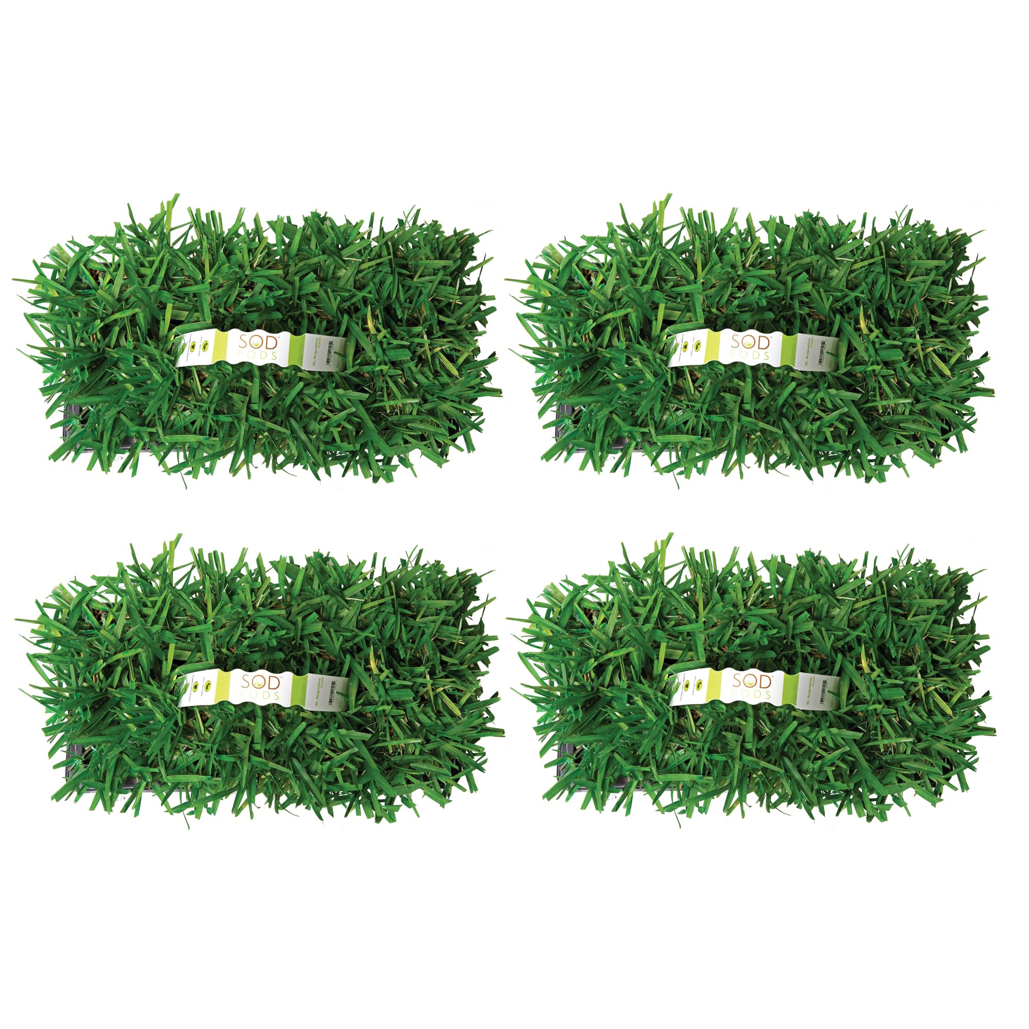 Cannot Ship to California/AZ SodPods® St Augustine Floratam Grass Plugs (32-Count) Natural, Affordable Lawn Improvement