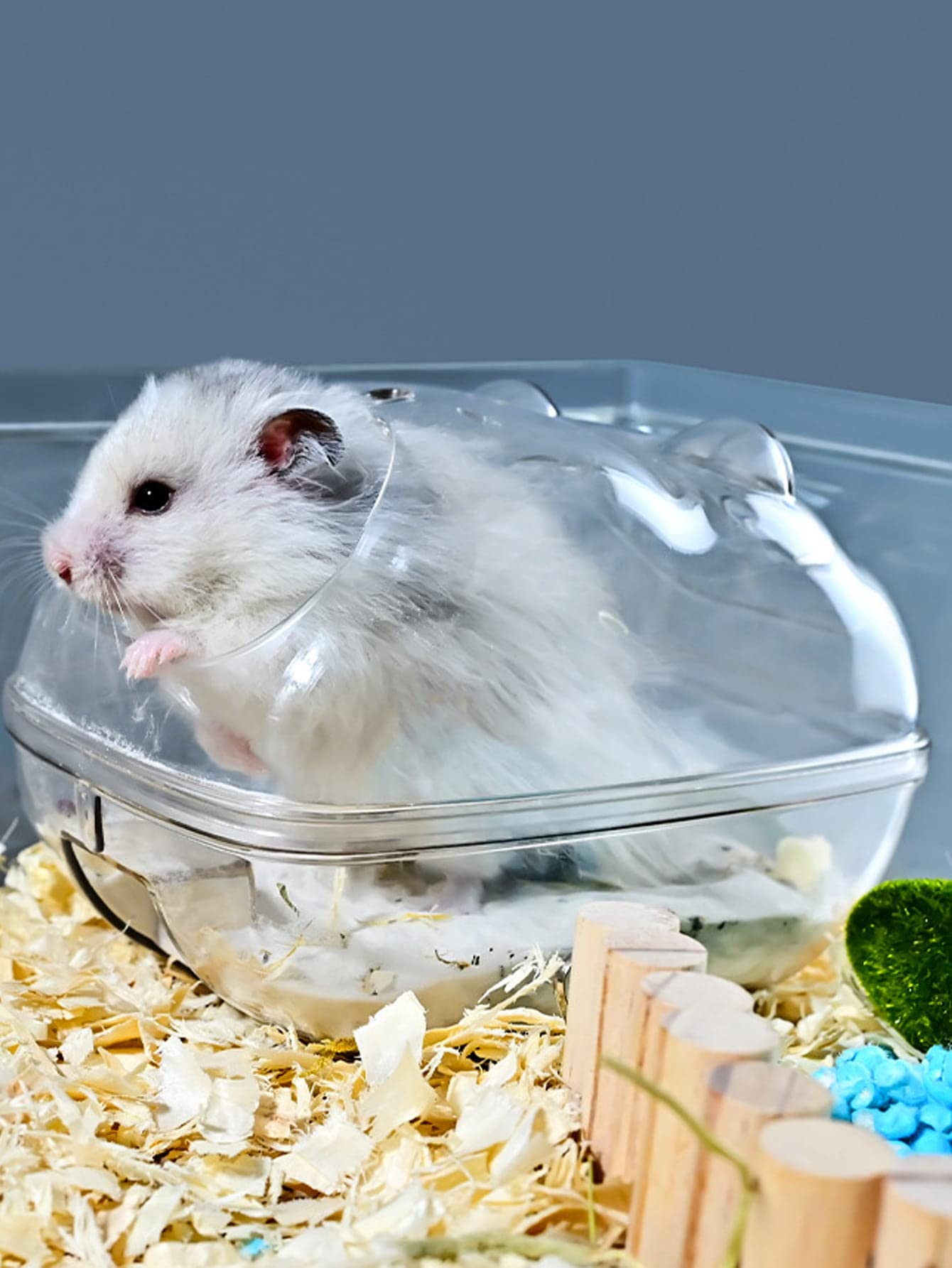 QWINEE Hamster Sand Bath Tub Transparent Hamster Toilet Bath Container Cage Accessories for Gerbil Syrian Mouse Chinchilla and Other Small Animals Clear S