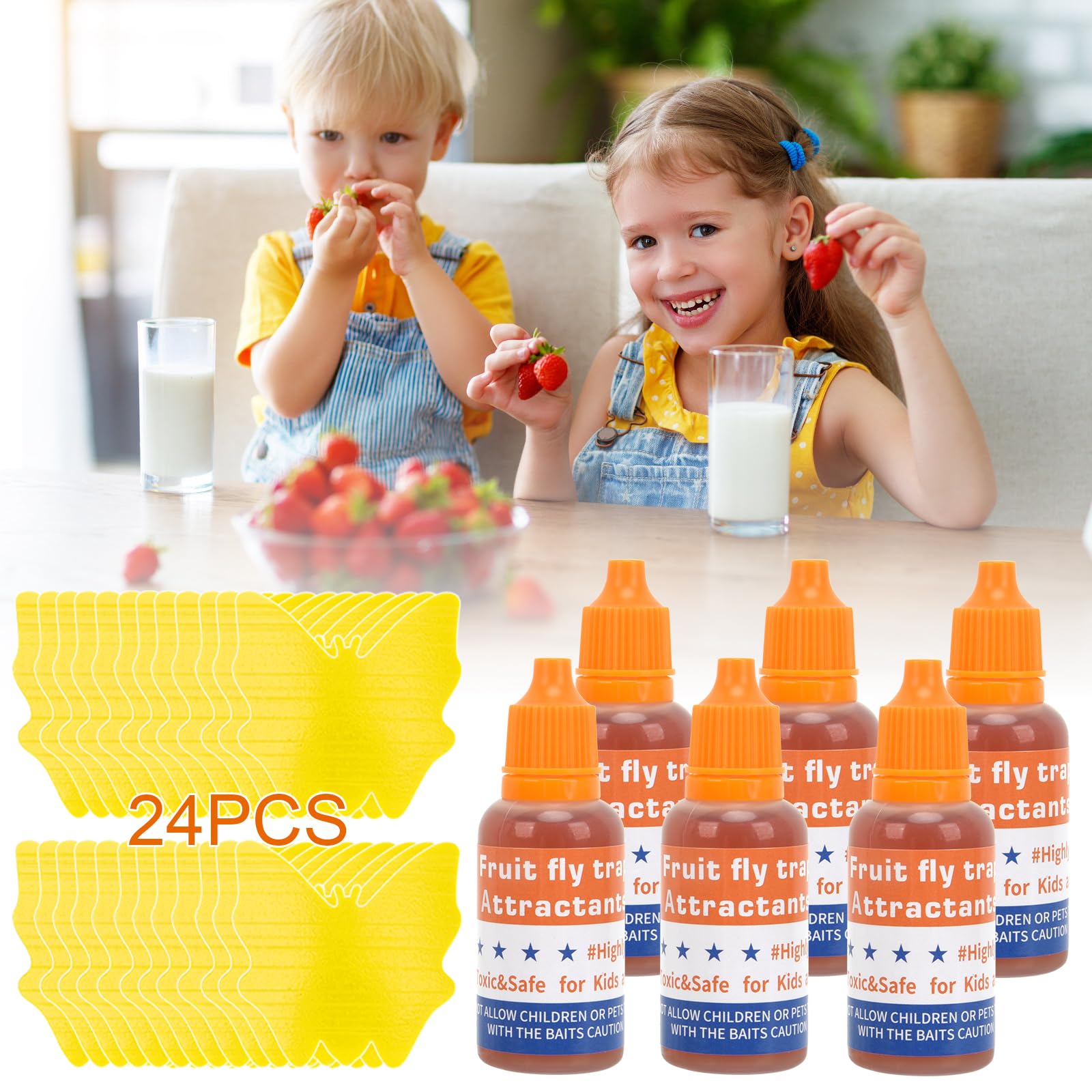 Fruit Fly Trap for Indoor- Non-Toxic Insects Bait Refill Liquid Only- Fruit Fly Bait with Sticky Pads- with 6 Packs Fly Trap Refills Liquid Replacement- 24 Packs Fruit Fly Trap Stickers