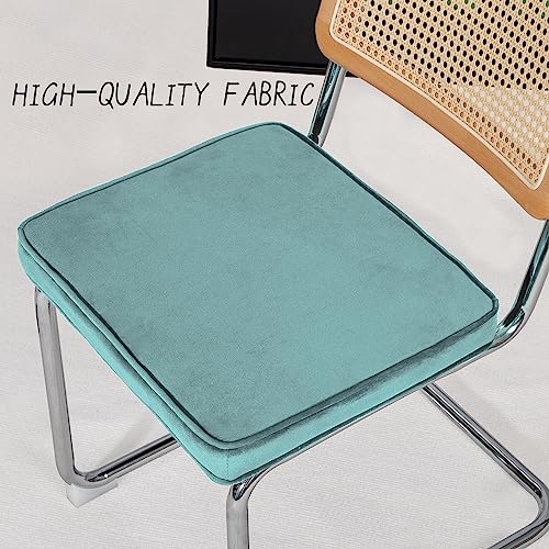 MeetLeisure Rattan Dining Chair Set of 2, Mid-Century Modern Chairs with Metal Chrome Legs, Armless Cane Back Chairs with Upholstered Cushion for Home Kitchen Dining Room, Aqua