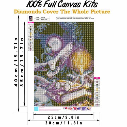 CHANGBAISHAN 5D Diamond Painting Kits for Adults and Kids - Full Drill Diamond Painting 12''×16'' - Crystal Rhinestone Diamond Art Kits for Beginners - Home Wall Decor