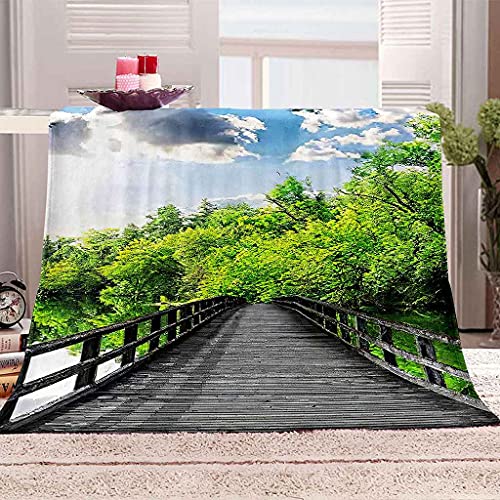 NARBOR Soft Fleece Throw Blanket - Fluffy Microfiber Solid Blankets for Bed and Couch Double/Single Size - 59X79Inch Wooden Bridge Trees Landscape Printed Flannel Blanket for Bed, Couch and Sofa