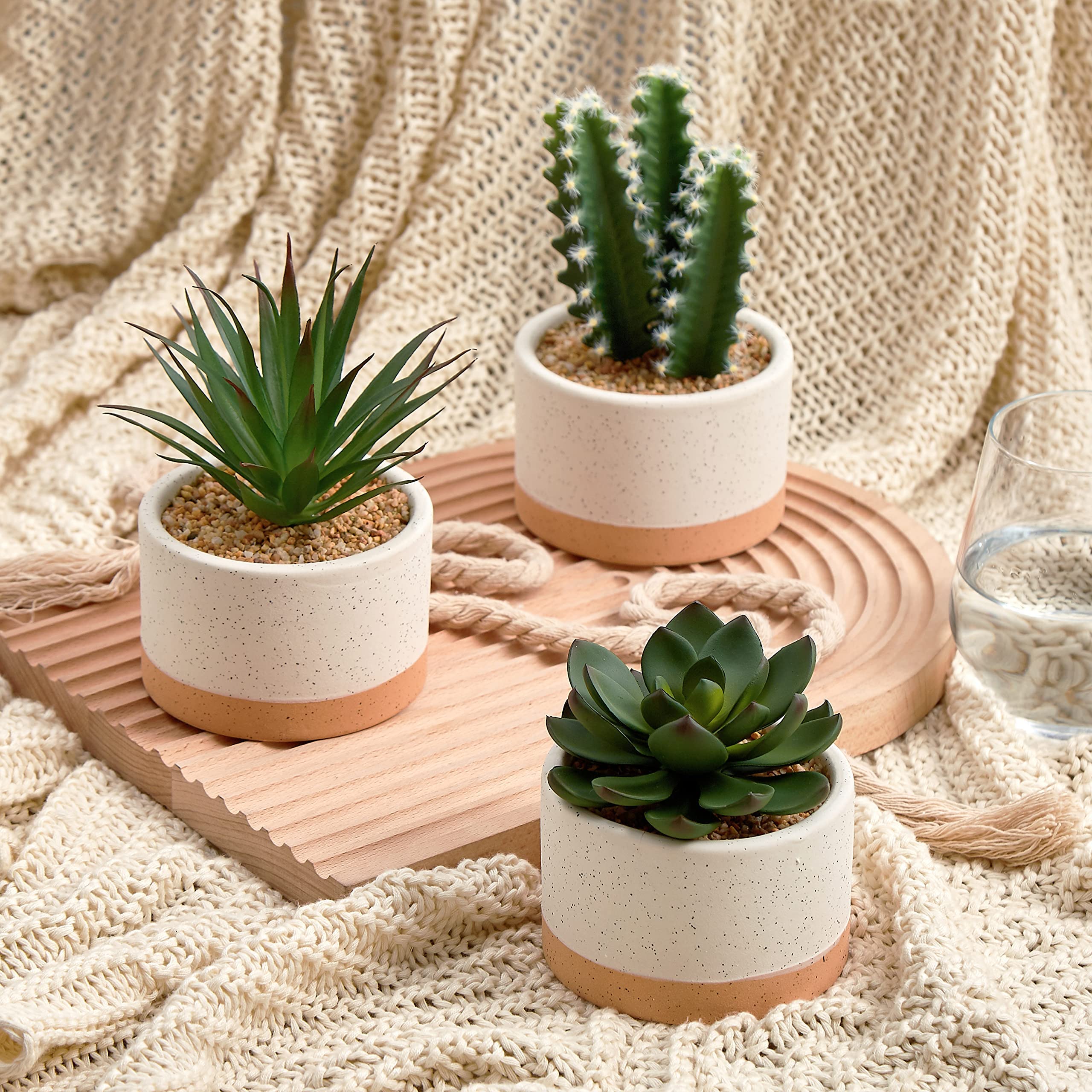 ASTRIDIA Artificial Succulent Plants in Ceramic Pots, Faux Assorted Succulents Fake Cactus Plants for Home Decor, Bedroom, Office, Desk, Living Room, Set of 3…