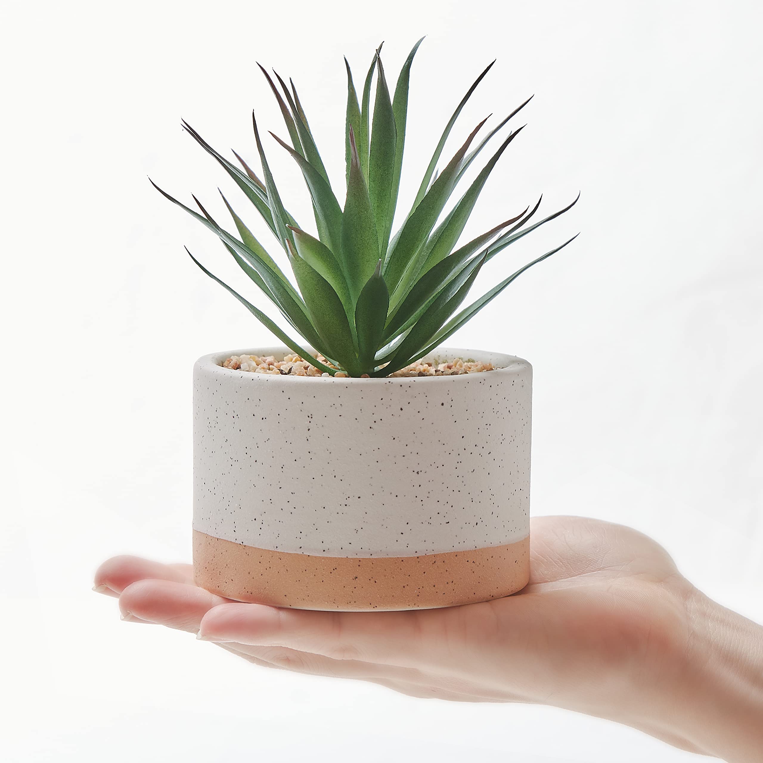 ASTRIDIA Artificial Succulent Plants in Ceramic Pots, Faux Assorted Succulents Fake Cactus Plants for Home Decor, Bedroom, Office, Desk, Living Room, Set of 3…