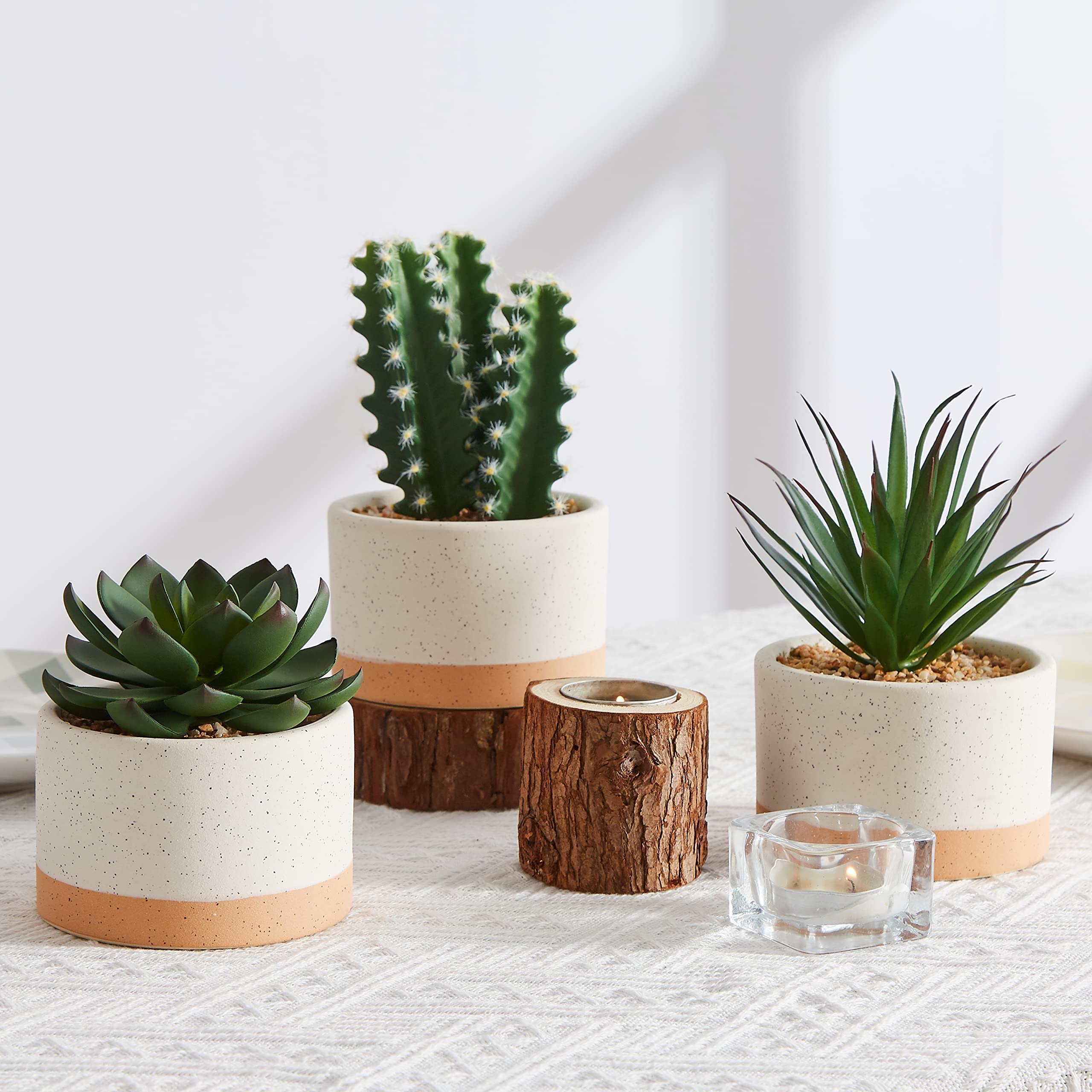 ASTRIDIA Artificial Succulent Plants in Ceramic Pots, Faux Assorted Succulents Fake Cactus Plants for Home Decor, Bedroom, Office, Desk, Living Room, Set of 3…