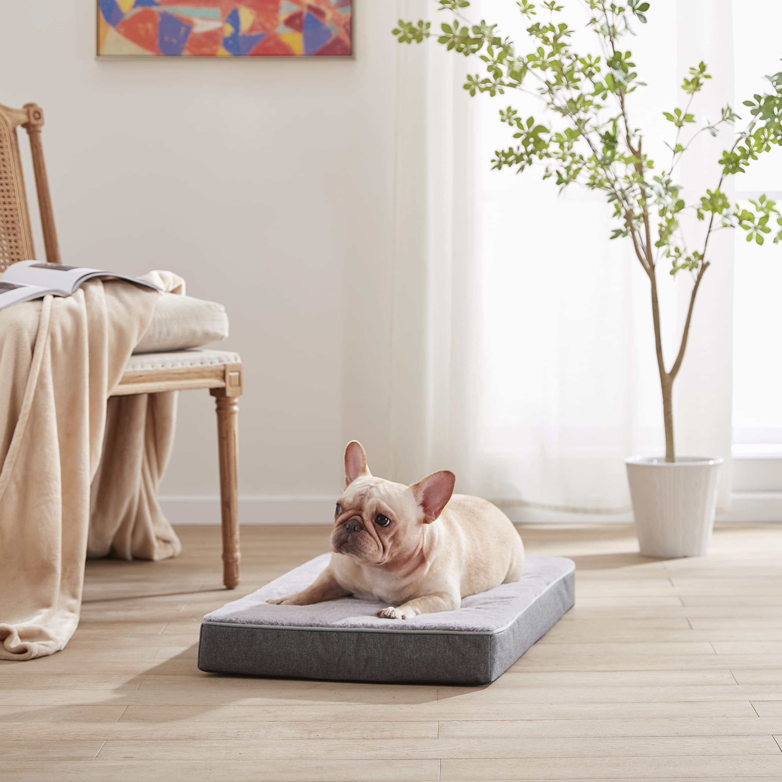 GOHOO PET Orthopedic Memory Foam Dog Bed, Dog Crate Bed for Medium Dogs -Waterproof Pet Bed with Removable Washable Cover, Purple Rabbit Plush Surface, M(29inch,45Lbs)