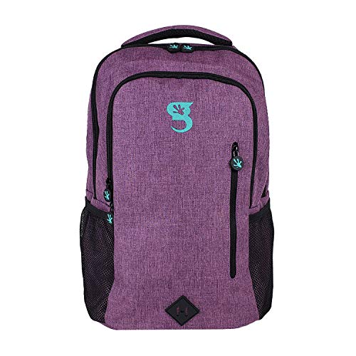 geckobrands Ambition Backpack – School/Work Backpack, Purple/Teal
