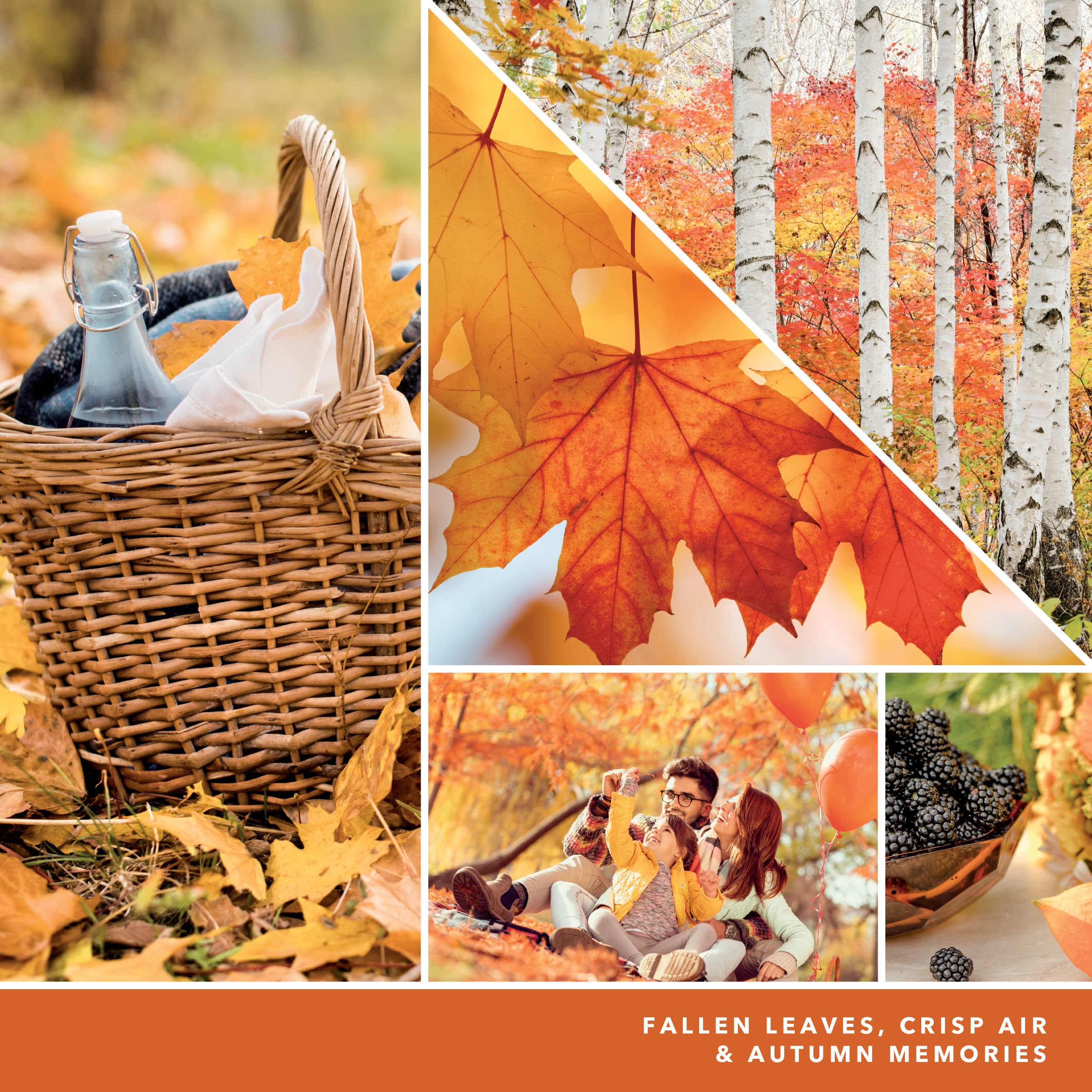 Yankee Candle Autumn Leaves and Autumn Wreath Scented 22oz Large Jar Candles Bundle (2-Pack)
