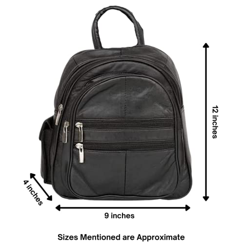 Liberty Leather Carry on Sheep Nappa Leather 10" Mini Backpack Purse I Multi Pocket Casual School Bookbag Daypacks for Women I Lightweight College Office Travel Bag Purse (Small Size)