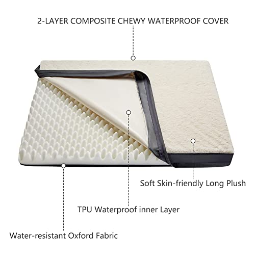 CozyLux Dog Beds for Large Dogs - Large Dog Bed for 65 lbs, Egg-Crate Foam Cat Bed Mat, Removable Washable Cover, Grey 35 X 22 X 3 inch