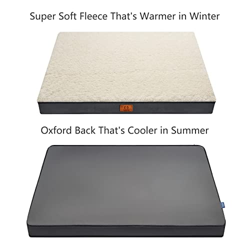 CozyLux Dog Beds for Large Dogs - Large Dog Bed for 65 lbs, Egg-Crate Foam Cat Bed Mat, Removable Washable Cover, Grey 35 X 22 X 3 inch