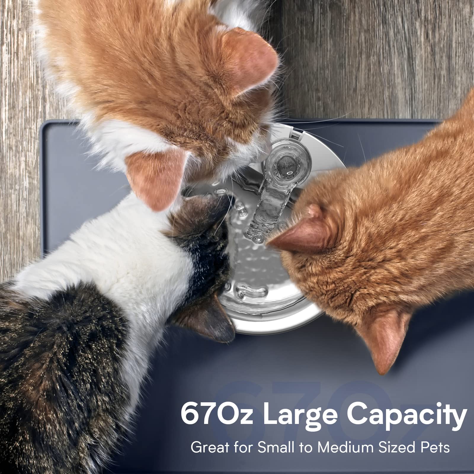 MEGADOO Cat Water Fountain Stainless Steel, 2.0L/67oz Pet Drinking Fountains, Automatic Cat Fountain with Quiet Pump, Dishwasher Safe Design, Suitable for Multiple Pets