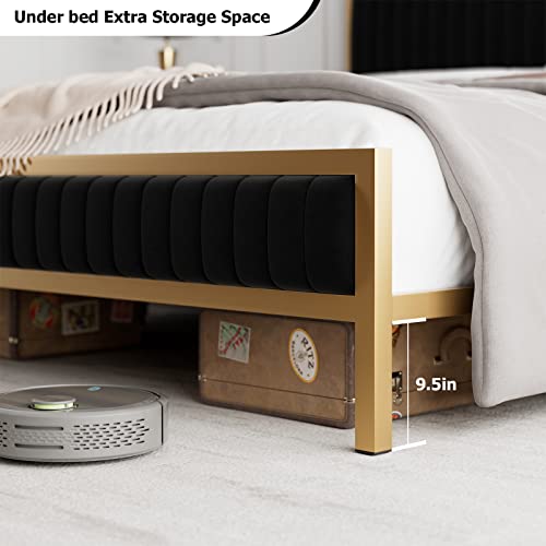 HIFIT King Size Bed Frame, King Bed Frame and Headboard, Heavy Duty Metal Foundation, Upholstered Bed Frame with Velvet Tufted Headboard, Wood Slats Support, No Box Spring Needed, Gold and Black