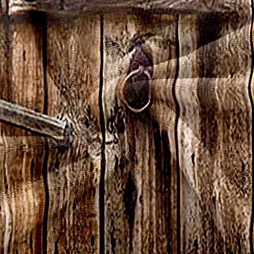 DALEM Soft Fleece Throw Blanket - Fluffy Microfiber Solid Blankets for Bed and Couch Double/Single Size - 59X79Inch Wooden Door Printed Flannel Blanket for Bed, Couch and Sofa