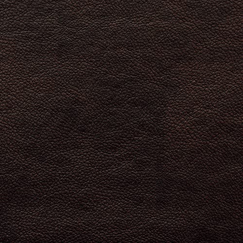 Lexicon Tuers Manual Double Reclining Sofa, Brown