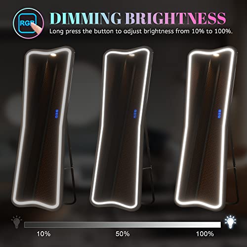 DNBSS 63"x20" RGB LED Full Length Floor Mirror With Lights, Free Standing & Wall Mount, Full Body Lighted Stand Up Mirror for Bedroom (Black RGB)