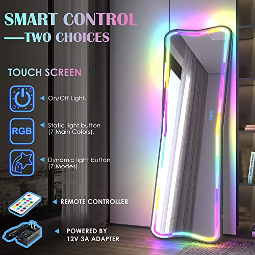 DNBSS 63"x20" RGB LED Full Length Floor Mirror With Lights, Free Standing & Wall Mount, Full Body Lighted Stand Up Mirror for Bedroom (Black RGB)