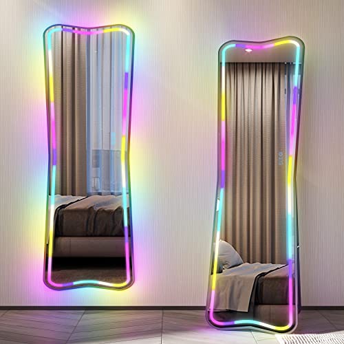 DNBSS 63"x20" RGB LED Full Length Floor Mirror With Lights, Free Standing & Wall Mount, Full Body Lighted Stand Up Mirror for Bedroom (Black RGB)