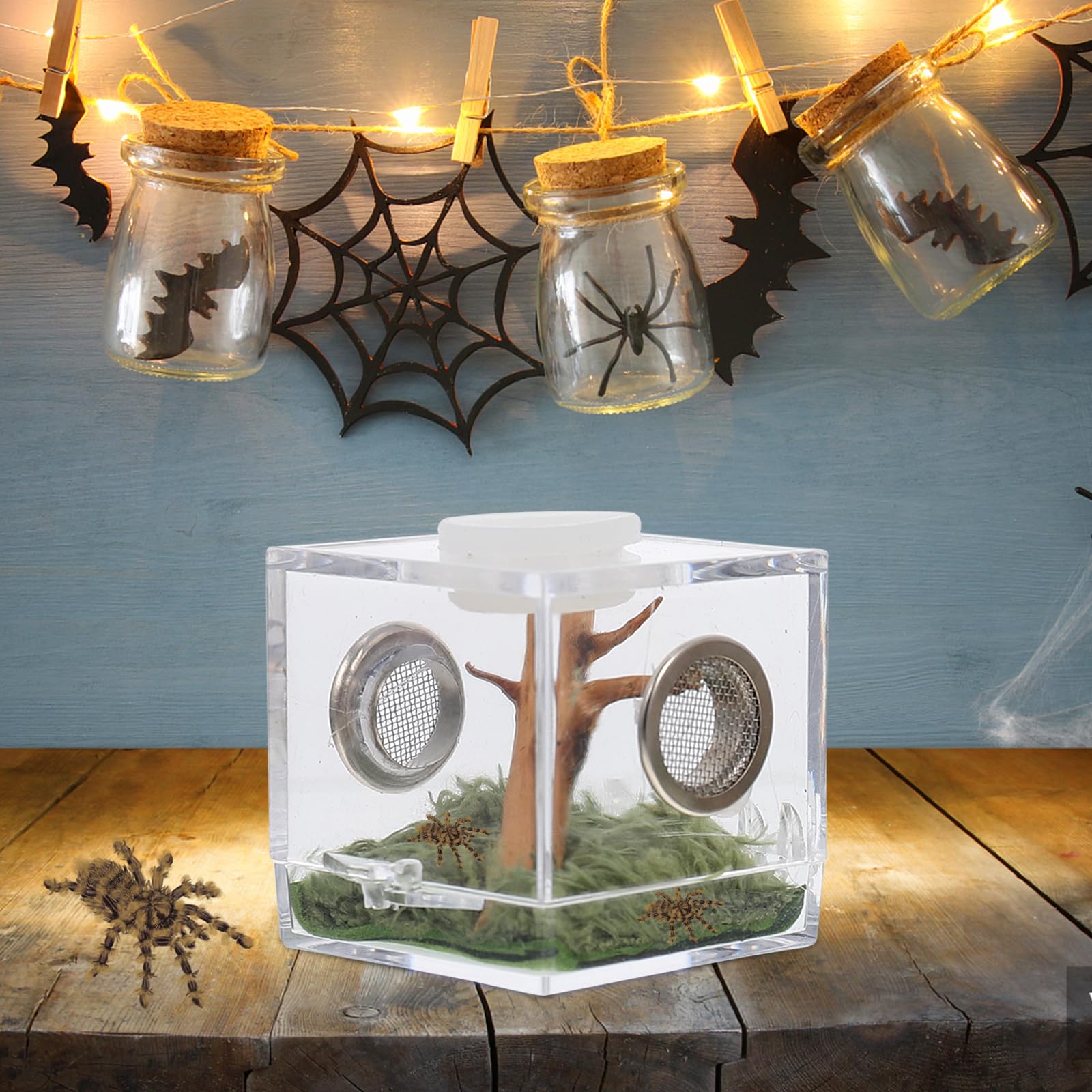 VILLCASE Glass Containers Spider Terrarium, Acrylic Reptile Breeding Box Jumping Spider Enclosure with Dropper Tongs for Tarantula Scorpion Sling Snake Gecko Amphibia