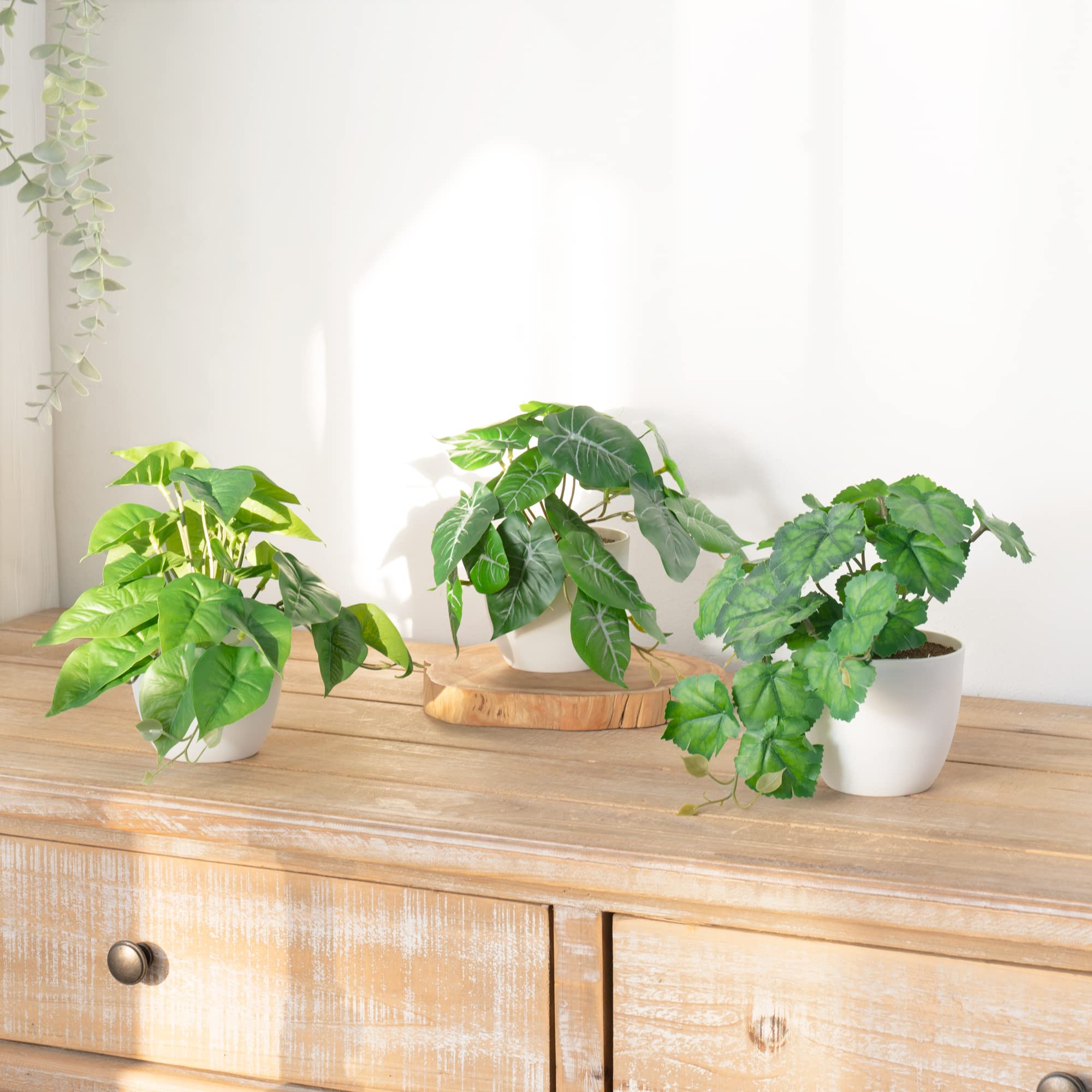 Dahey 3 Pack Fake Potted Plant Artificial Plants for Home Decor Indoor Broad Leaved Faux Plants Indoor Desk Plant with 4 Inch Frosted Plastic Planter for Office Bathroom Greenery Decoration