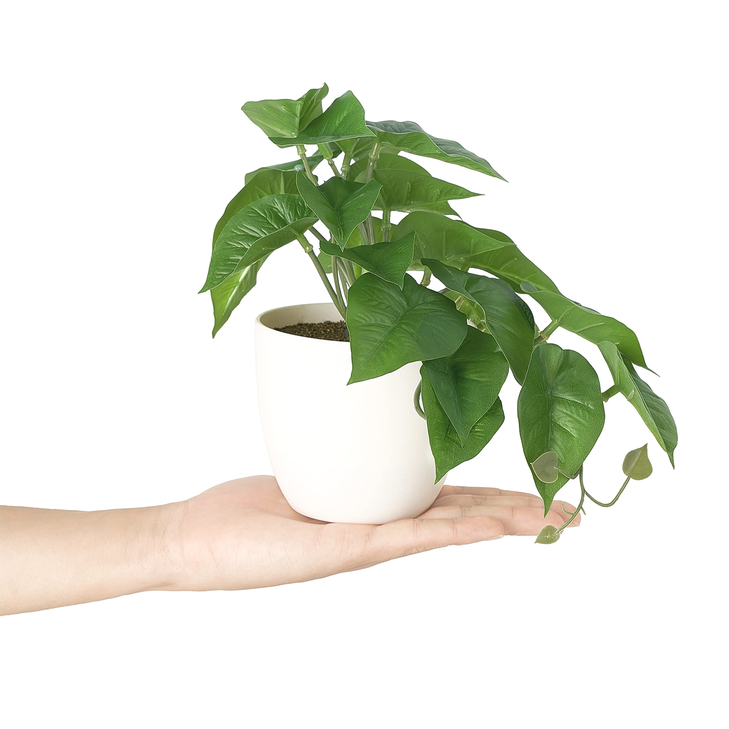 Dahey 3 Pack Fake Potted Plant Artificial Plants for Home Decor Indoor Broad Leaved Faux Plants Indoor Desk Plant with 4 Inch Frosted Plastic Planter for Office Bathroom Greenery Decoration