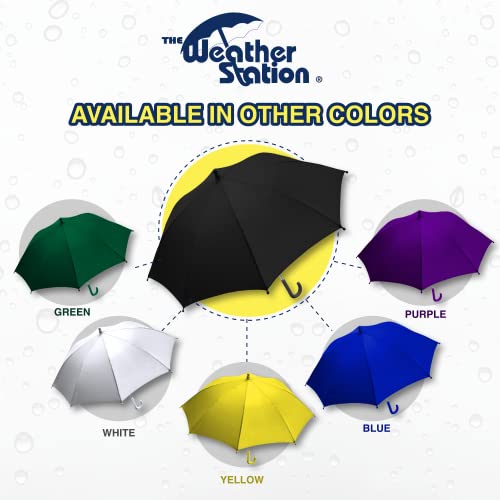 The Weather Station Children's Mini Manual Rain Umbrella, Metal, Windproof, Lightweight, and Packable for Travel, Full 30 Inch Arc, Black