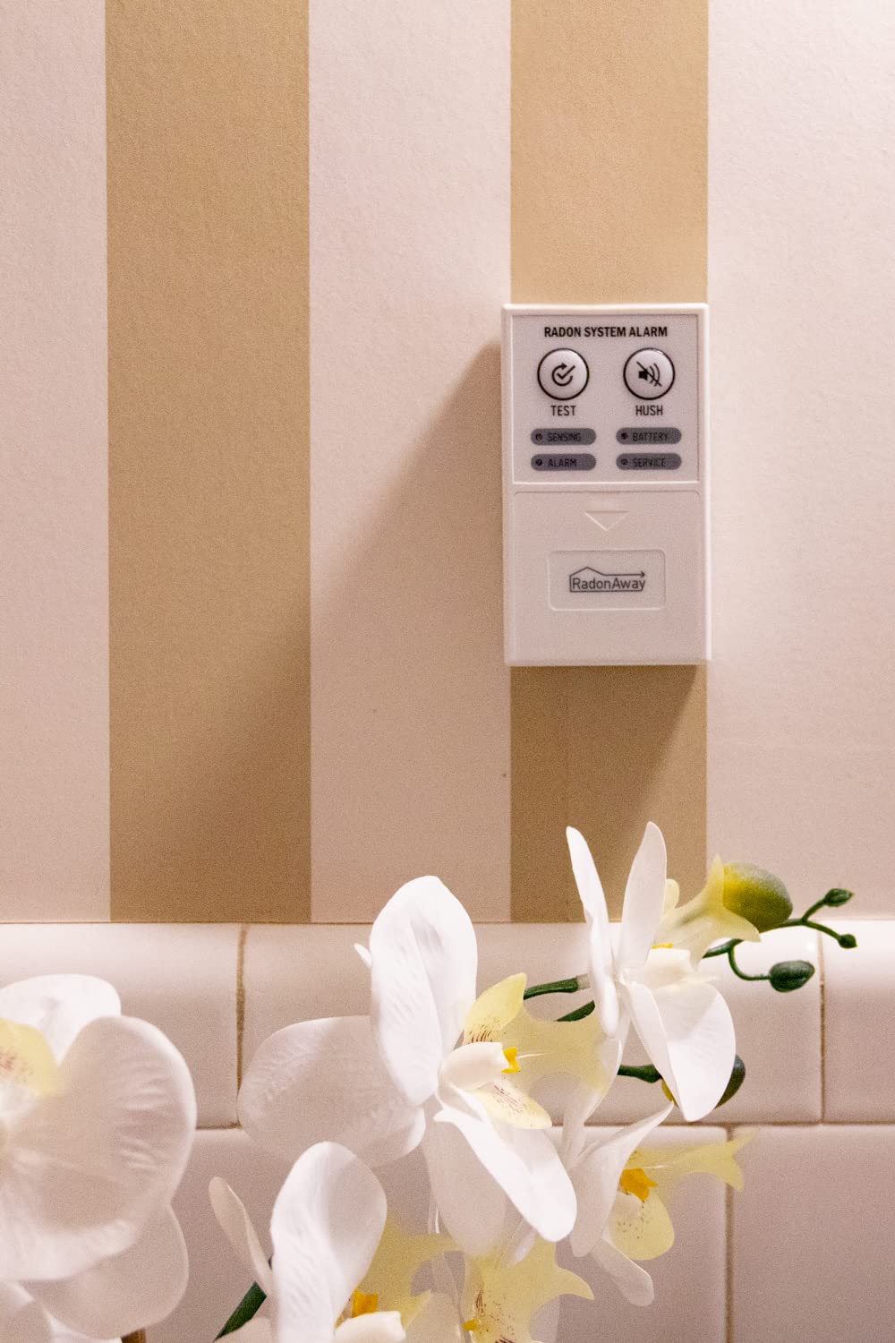 Radonaway RSA1 Radon System Alarm with PPS Technology