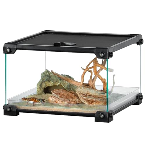 OIIBO Small Glass Reptile Terrarium 12.2" x 12.2" x 7.8" Top Feeding Reptile Tank Full View Visually Appealing Reptile Amphibians Habitat Enclosure