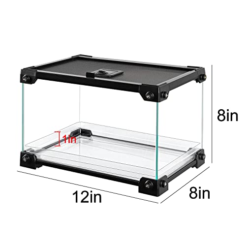 OIIBO Small Glass Reptile Terrarium 12" x 8" x 8" Top Feeding Reptile Tank Full View Visually Appealing Reptile Amphibians Habitat Enclosure