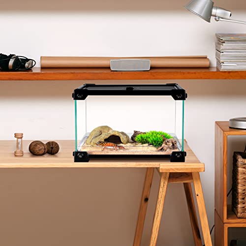 OIIBO Small Glass Reptile Terrarium 12" x 8" x 8" Top Feeding Reptile Tank Full View Visually Appealing Reptile Amphibians Habitat Enclosure