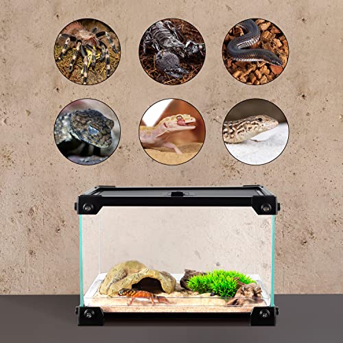 OIIBO Small Glass Reptile Terrarium 12" x 8" x 8" Top Feeding Reptile Tank Full View Visually Appealing Reptile Amphibians Habitat Enclosure