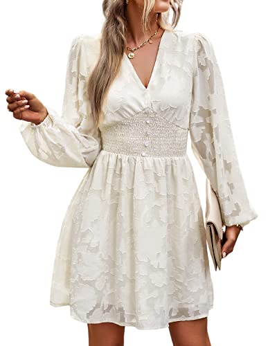 BebreezChic Women Dresses Cocktail with Lining Knee Length Long Sleeve Ladies Elegant Lace Smocked Short Dress 2023 Spring Summer Dresses, Beige XL