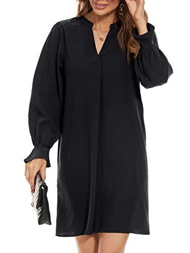 KINMIU Women's Long Sleeve V Neck Flowy Swing Shift Casual Funeral Dress Elegant Work Fall Dresses 2023(X-Large,Black)