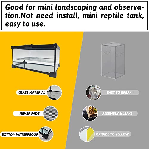PINVNBY Reptile Glass Terrarium Ball Python Tank 12"x8"x6" Micro Habitat Terrarium Enclosure Amphibians Tank Cage Full View Visually Appealing for Small Reptiles,Spiders,Leopard Gecko