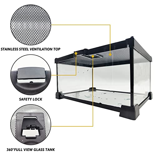 PINVNBY Reptile Glass Terrarium Ball Python Tank 12"x8"x6" Micro Habitat Terrarium Enclosure Amphibians Tank Cage Full View Visually Appealing for Small Reptiles,Spiders,Leopard Gecko