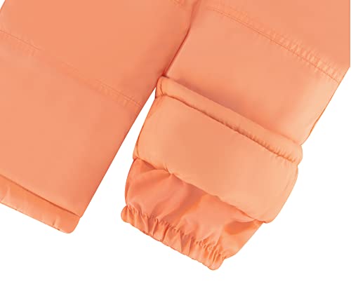 Carter's Baby Girl Two Piece Snowsuit, LG Floral, 24 Months