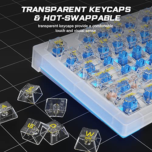 AULA Wireless Mechanical Keyboard, 3 in 1 Hot Swappable RGB Mechanical Gaming Keyboard with Transparent keycaps, 17 RGB Modes and 19 Side Light Modes, 87 Keys Anti-ghosting for Windows Mac PC Gamers