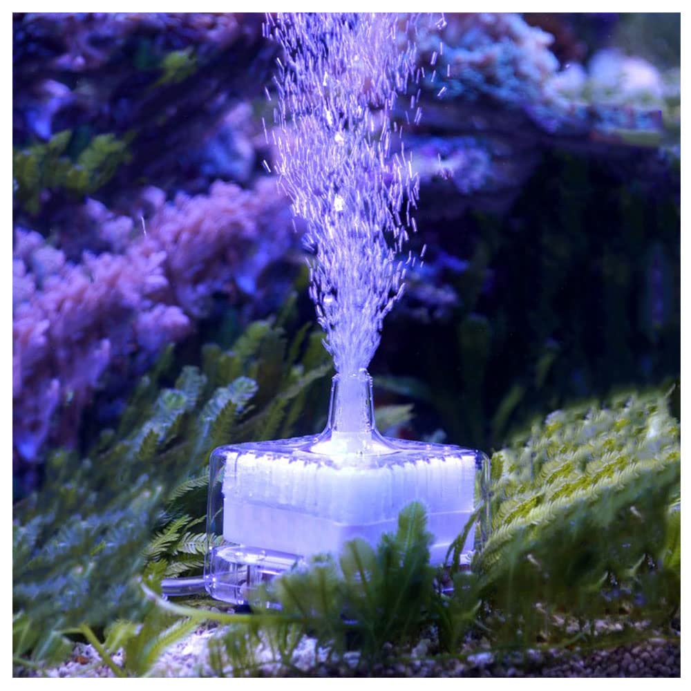 FRIRODSAY Fish Tank Filter Aquarium Sponge Filter Quiet Small Filter for 1-20 Gallon Aquariums Detachable with Activated Carbon and Air Stone (Air Pump not Included)