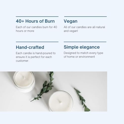 CE Craft - Smells Like A Dolphins Win Candle - Football Themed Candle, Gift for Dad, Gift for Son, Florida Gift, Florida Themed Candle, Gift for Him (Iced Vanilla Woods)