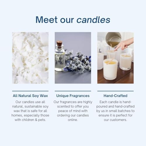 CE Craft - Smells Like A Dolphins Win Candle - Football Themed Candle, Gift for Dad, Gift for Son, Florida Gift, Florida Themed Candle, Gift for Him (Iced Vanilla Woods)