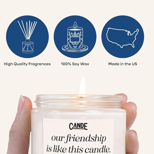 CE Craft - Smells Like A Browns Win Candle - Football Themed Candle, Gift for Dad, Gift for Son, Ohio Gift, Ohio Themed Candle, Gift for Him (Iced Vanilla Woods)