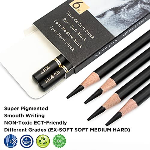 Brusarth Professional Charcoal Pencils Drawing Set 6 Pieces (Ex-Soft, Soft, Medium, & Hard) Charcoal Pencils for Drawing, Sketching, Shading, Artist Pencils for Beginners & Artists