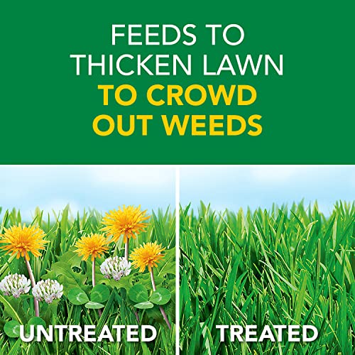 Scotts Turf Builder Weed & Feed5, Weed Killer and Lawn Fertilizer, Controls Dandelion, Clover and More, 4,000 sq. ft, 11.32 lbs.