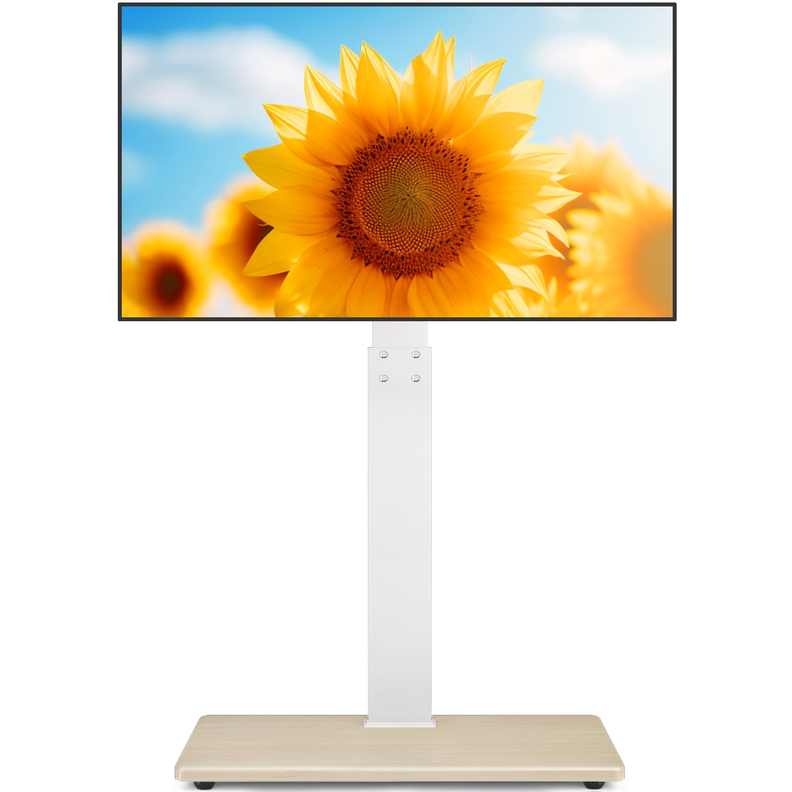 TV Floor Stand for 32-75 Inch Plasma LCD LED OLED Flat Panel or Curved Screen TVs, Swivel TV Stand Mount with Height Adjustment and Sturdy Wood Base, White