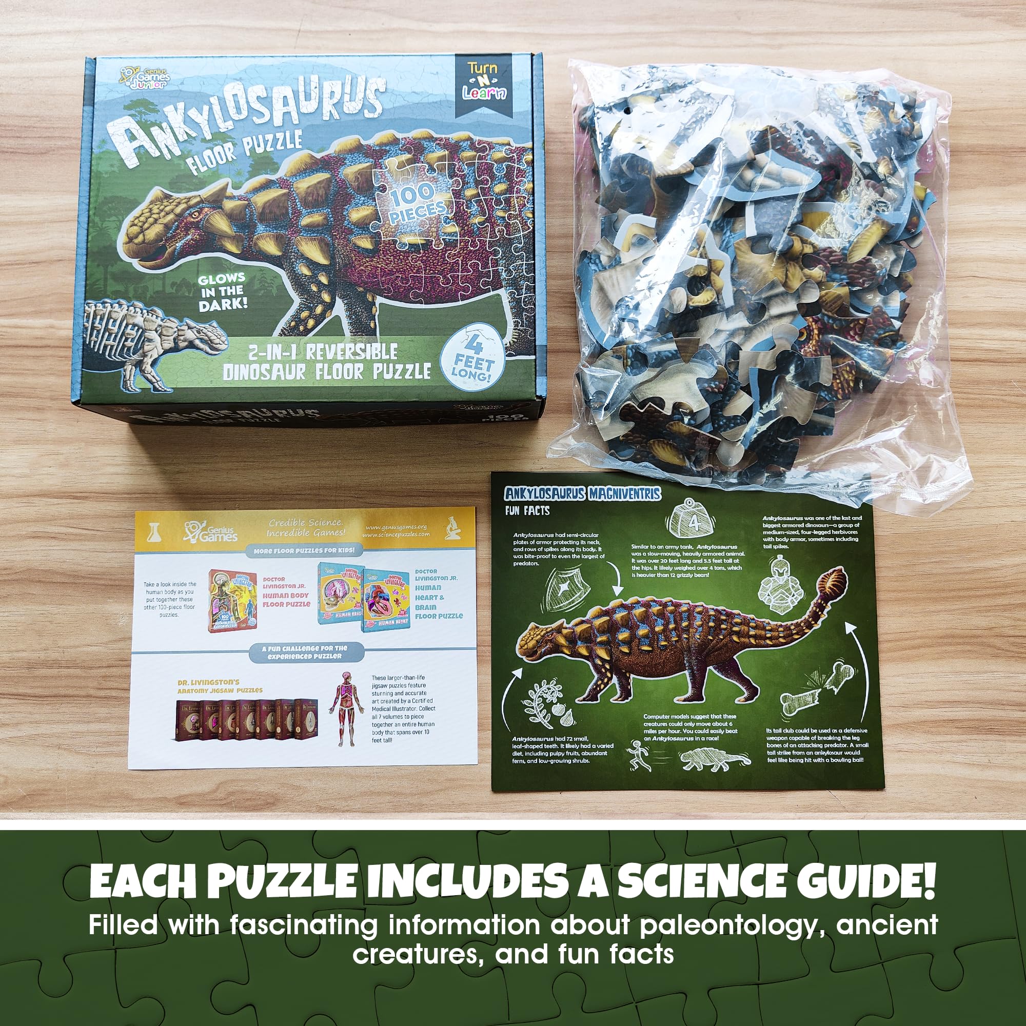 Ankylosaurus Dinosaur Jigsaw Puzzle | 100-Piece Double Sided Floor Puzzle with Glow-in-The-Dark Skeleton On Other Side | 4 FT Scientifically Accurate Dino Illustration | Educational Toy for Kids