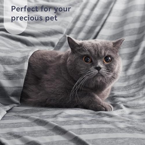 Guohaoi Cooling Blanket (90"x90"Queen Size) for Hot Sleepers and Night Sweats,100% Oeko-Tex Certified,Arc-Chill Q-Max >0.5 Cool Fiber,Ultra Cold Breathable,Comfortable,All-Season.