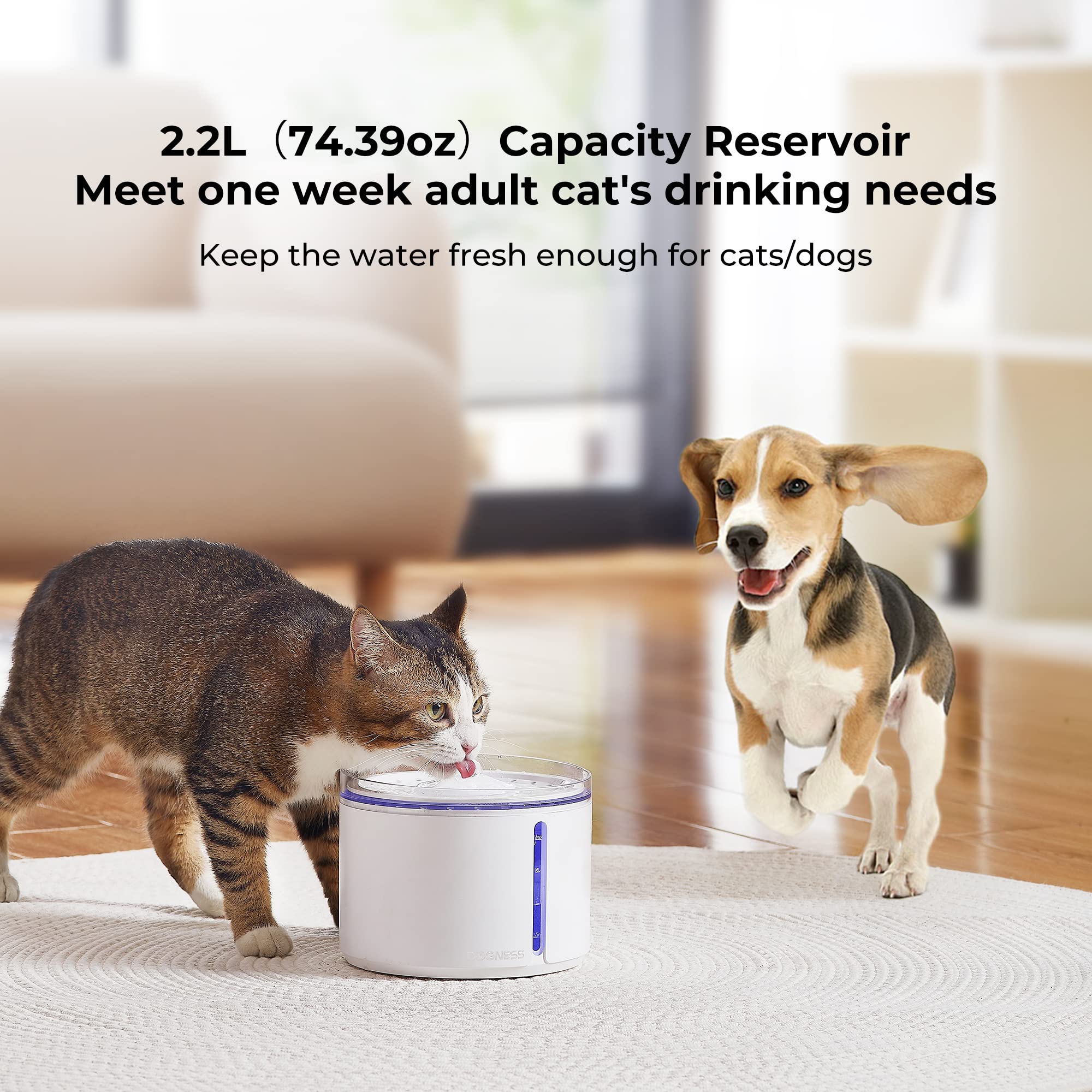 Ultra Quiet Cat Fountain, 25dB Pet Water Dispenser (White, 2.2L)