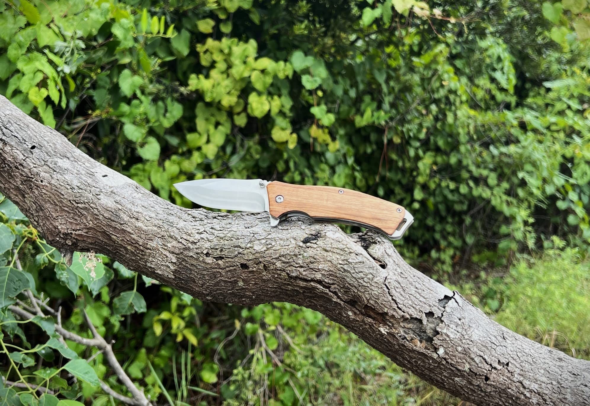 Tropas Folding Pocket Knife - EDC 3Cr13 Stainless Steel Blade with Wood Handle